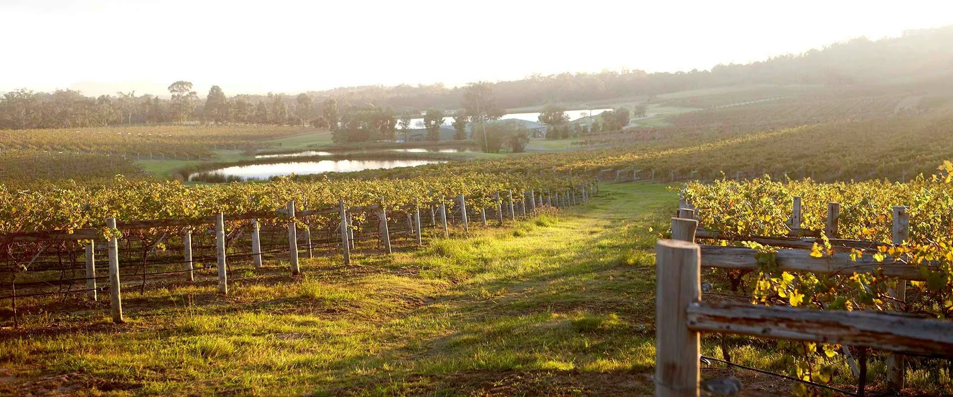 Home - Audrey Wilkinson | Hunter Valley Winery